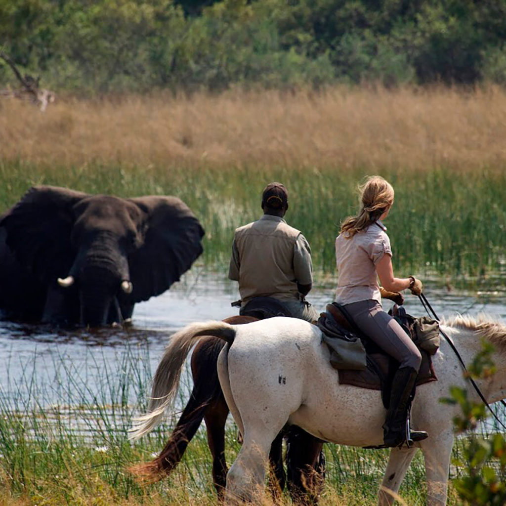 Safaris en Okavango a caballo | Safari Delta del Okavango | Africae Travel